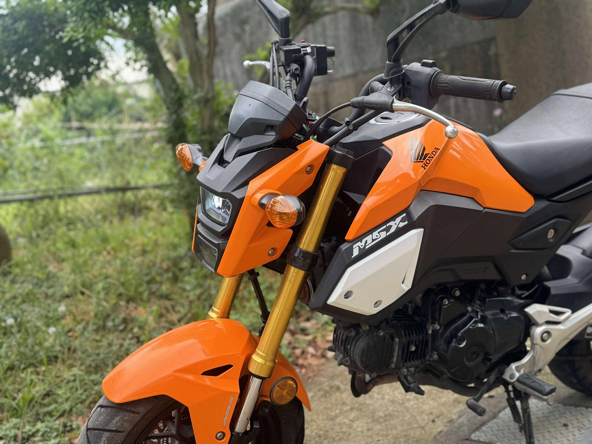HONDA MSX125(GROM) - 中古/二手車出售中 超輕車重 | 個人自售 - 「Webike-摩托車市」