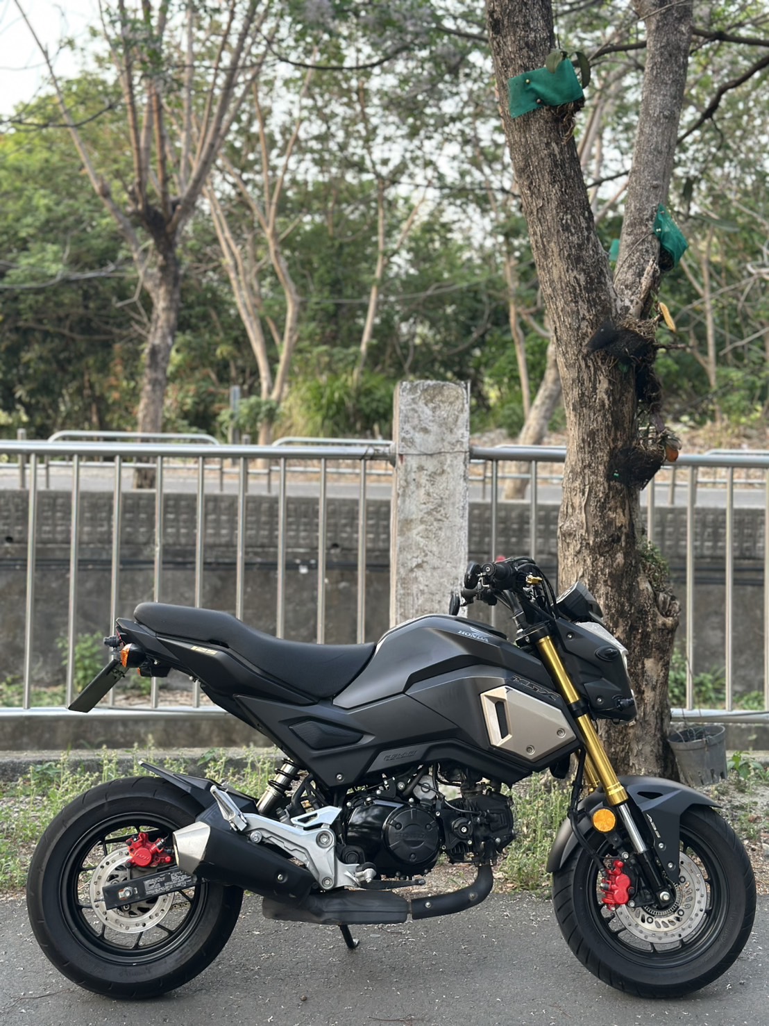 HONDA MSX125 - 中古/二手車出售中 2020年 Honda msx125 | 武士重機-小林 - 「Webike-摩托車市」